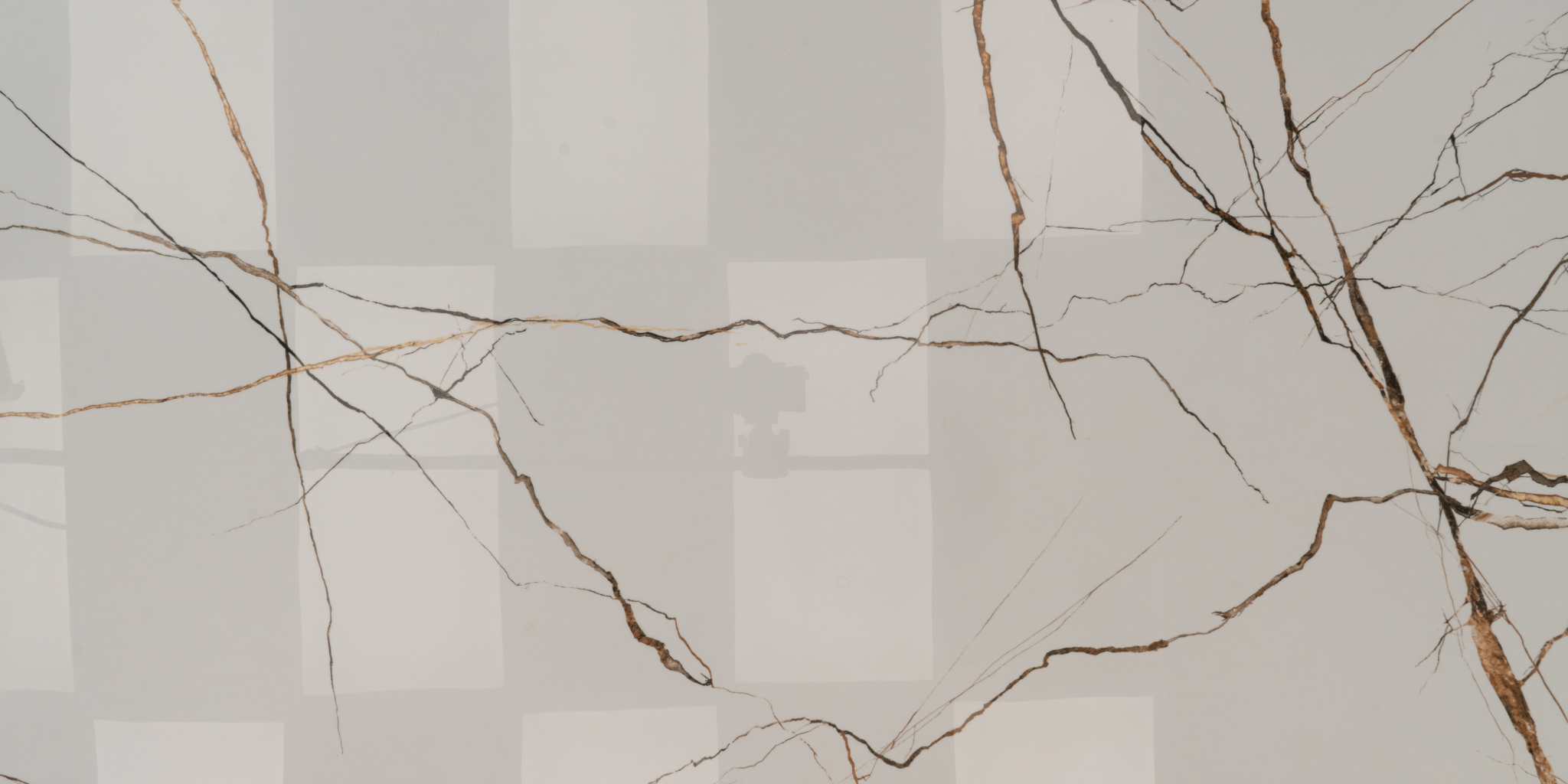 24×48 Lichen Patagonia Polished Porcelain Tile - Keystone Tile
