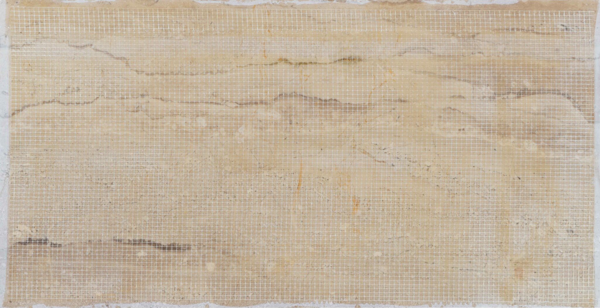 12×24 Daino Reale Marble Polished Tile - Keystone Tile