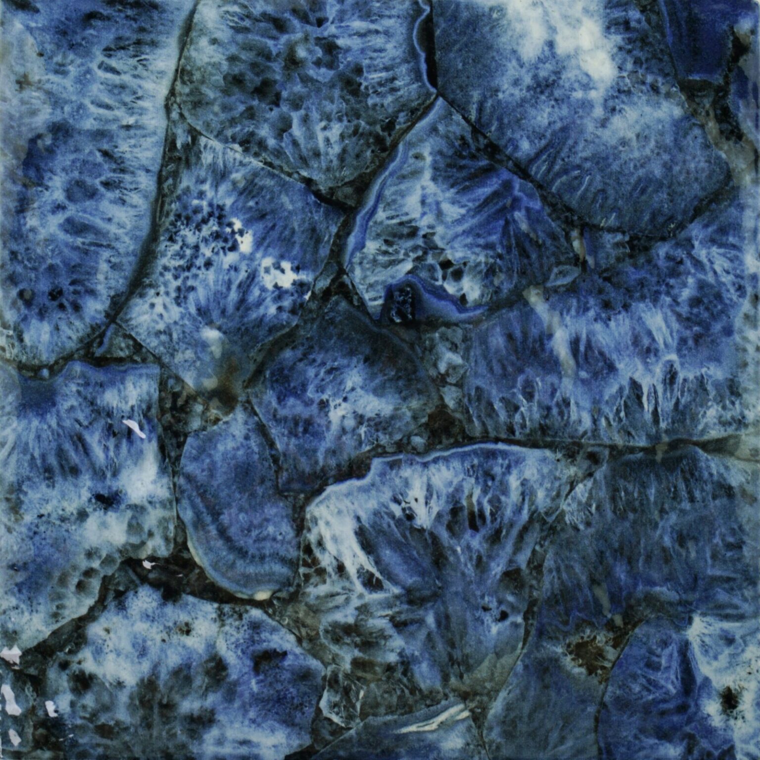 6X6 Reef Ocean Porcelain Tile - Keystone Tile