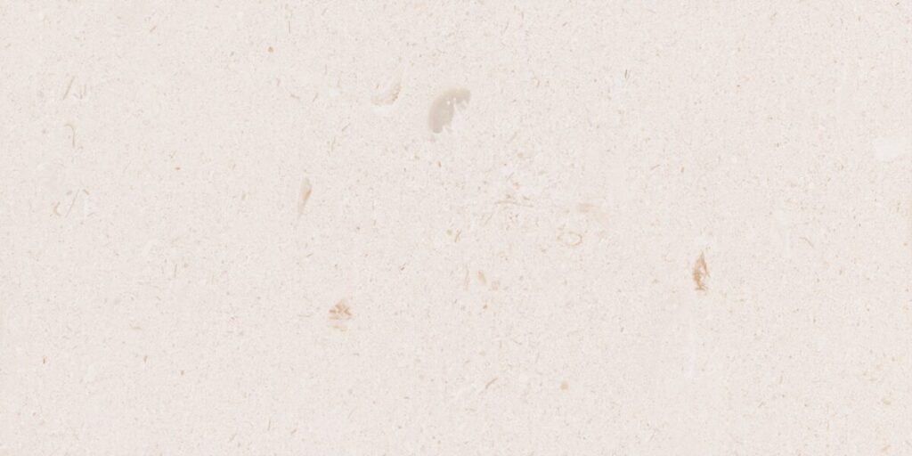 12×24 Shell Beach Limestone Honed Tile ® - Keystone Tile