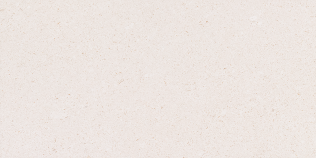 12×24 Shell Beach Limestone Honed Tile ® - Keystone Tile