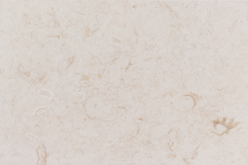 16×24 Shell Beach Limestone Tumbled Tile ® - Keystone Tile