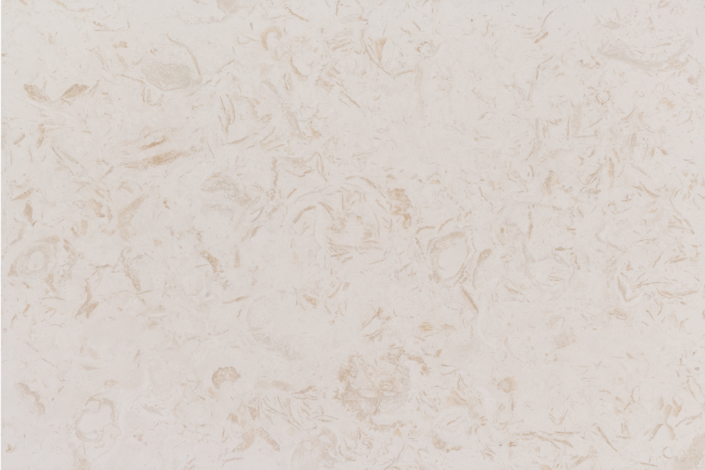 16×24 Shell Beach Limestone Tumbled Tile ® - Keystone Tile