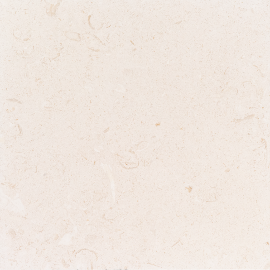 24X24 Shell Beach Limestone Honed Tile ® - Keystone Tile
