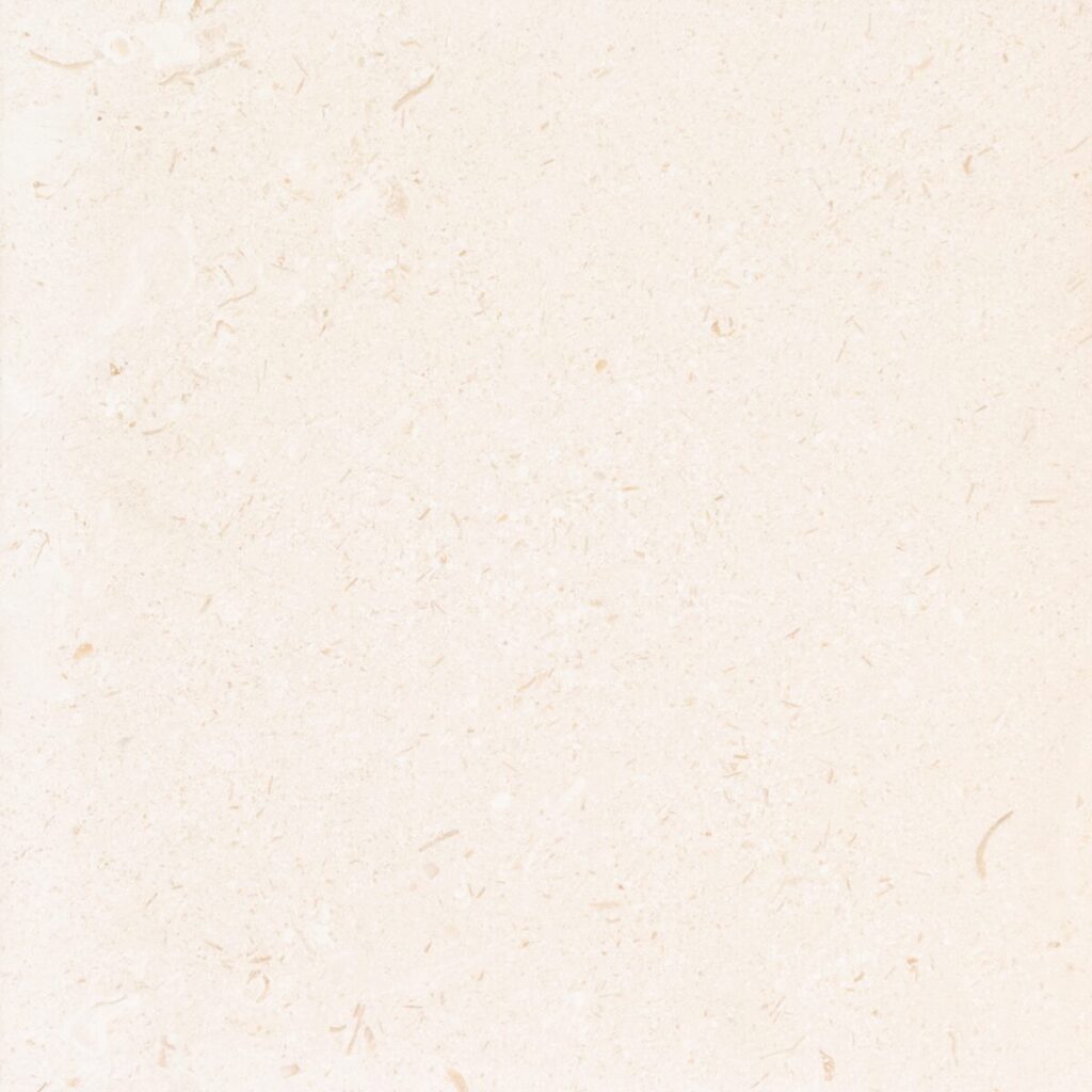 6X6 Shell Beach Limestone Tumbled Tile ® - Keystone Tile